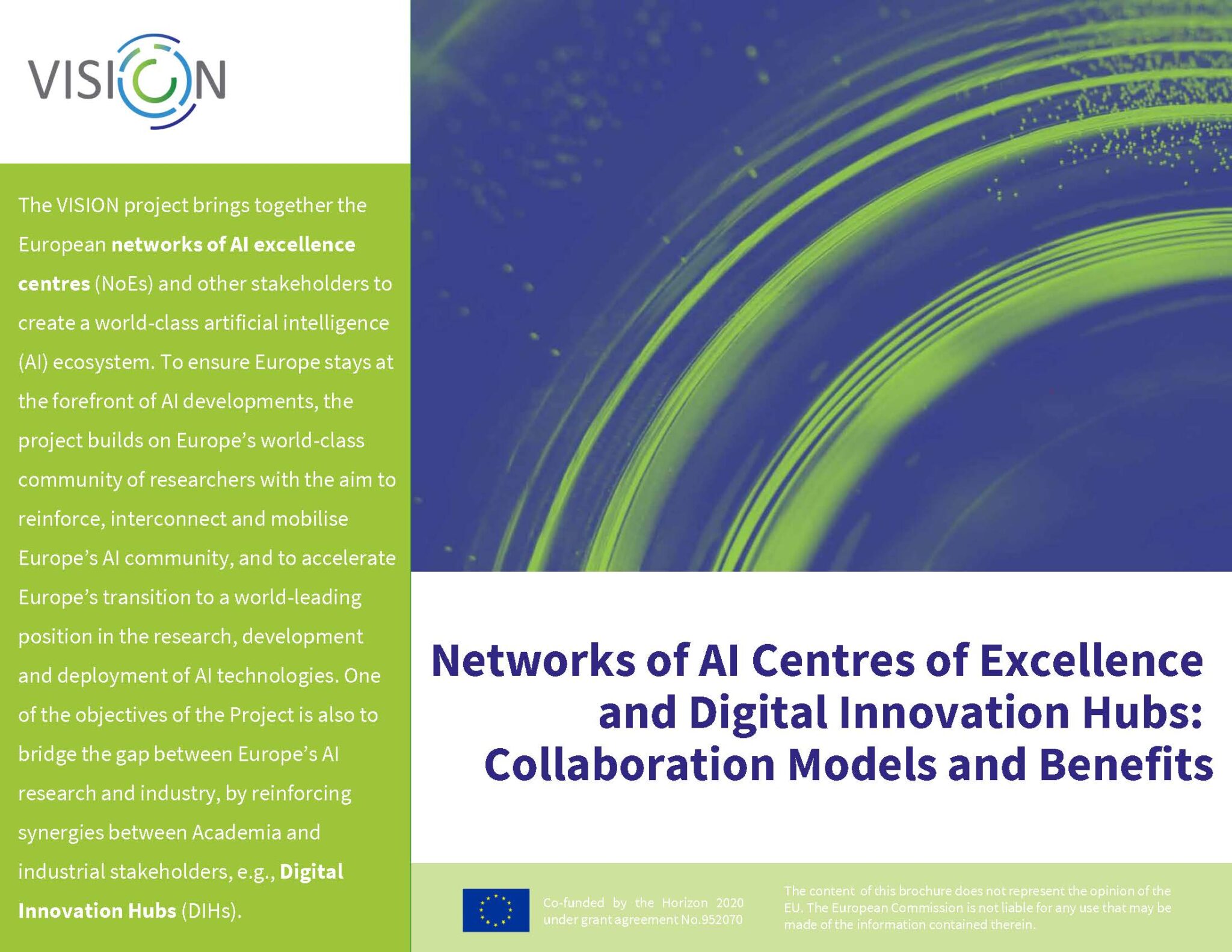 Networks of AI Centres of Excellence and Digital Innovation Hubs ...